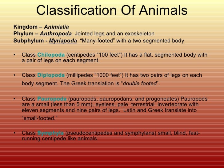 Myriapoda Lower Classifications – ALIS
