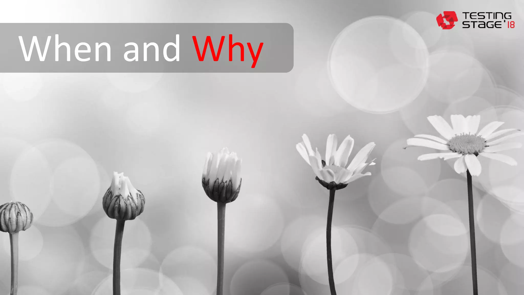 Myroslava garasym: COMPETENCE DEVELOPMENT: CHEAT SHEET FOR BEGINNERS | PPT