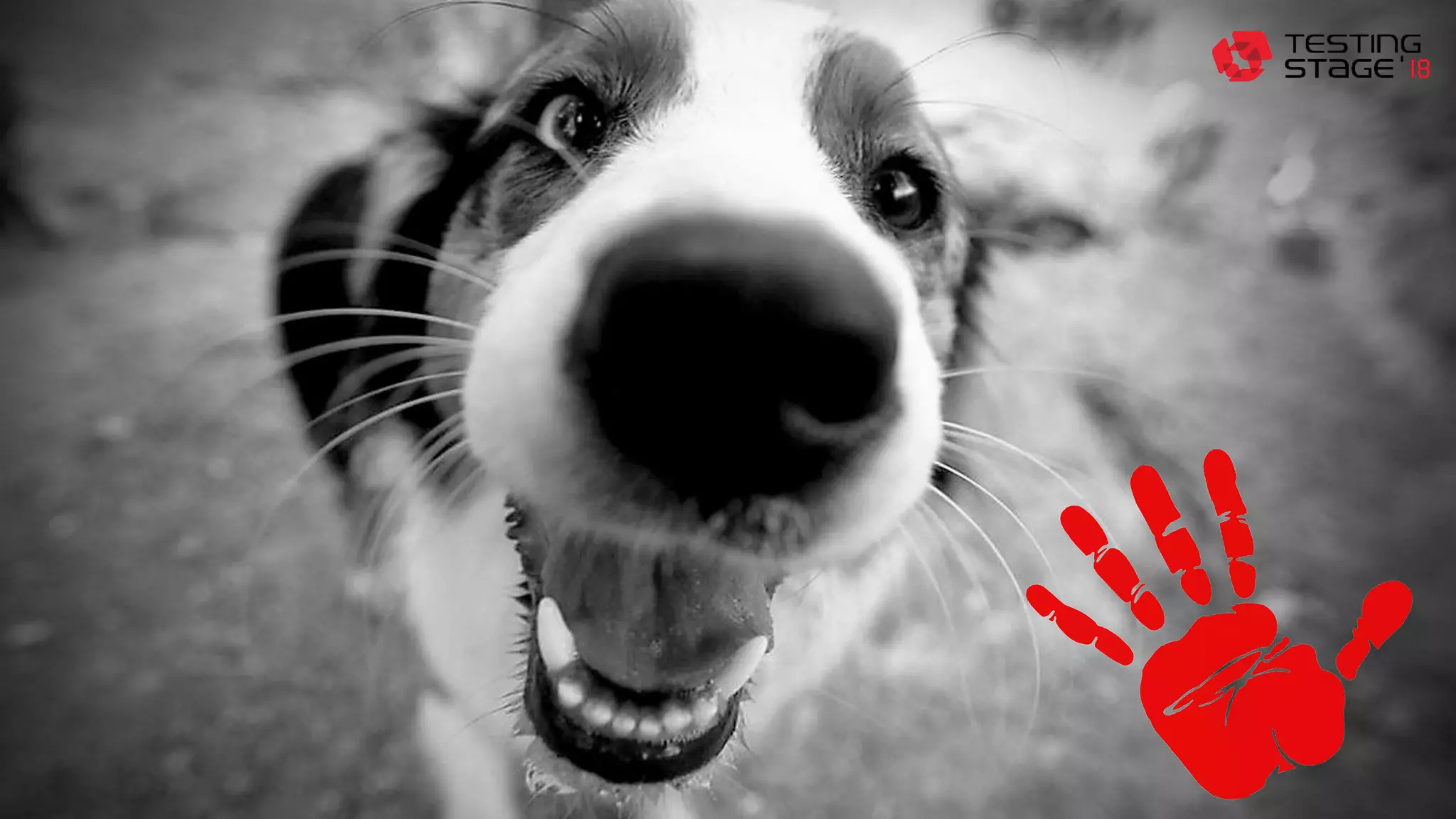 Myroslava garasym: COMPETENCE DEVELOPMENT: CHEAT SHEET FOR BEGINNERS | PPT