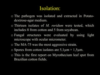 Myrothecium leaf spot of cotton | PPTX
