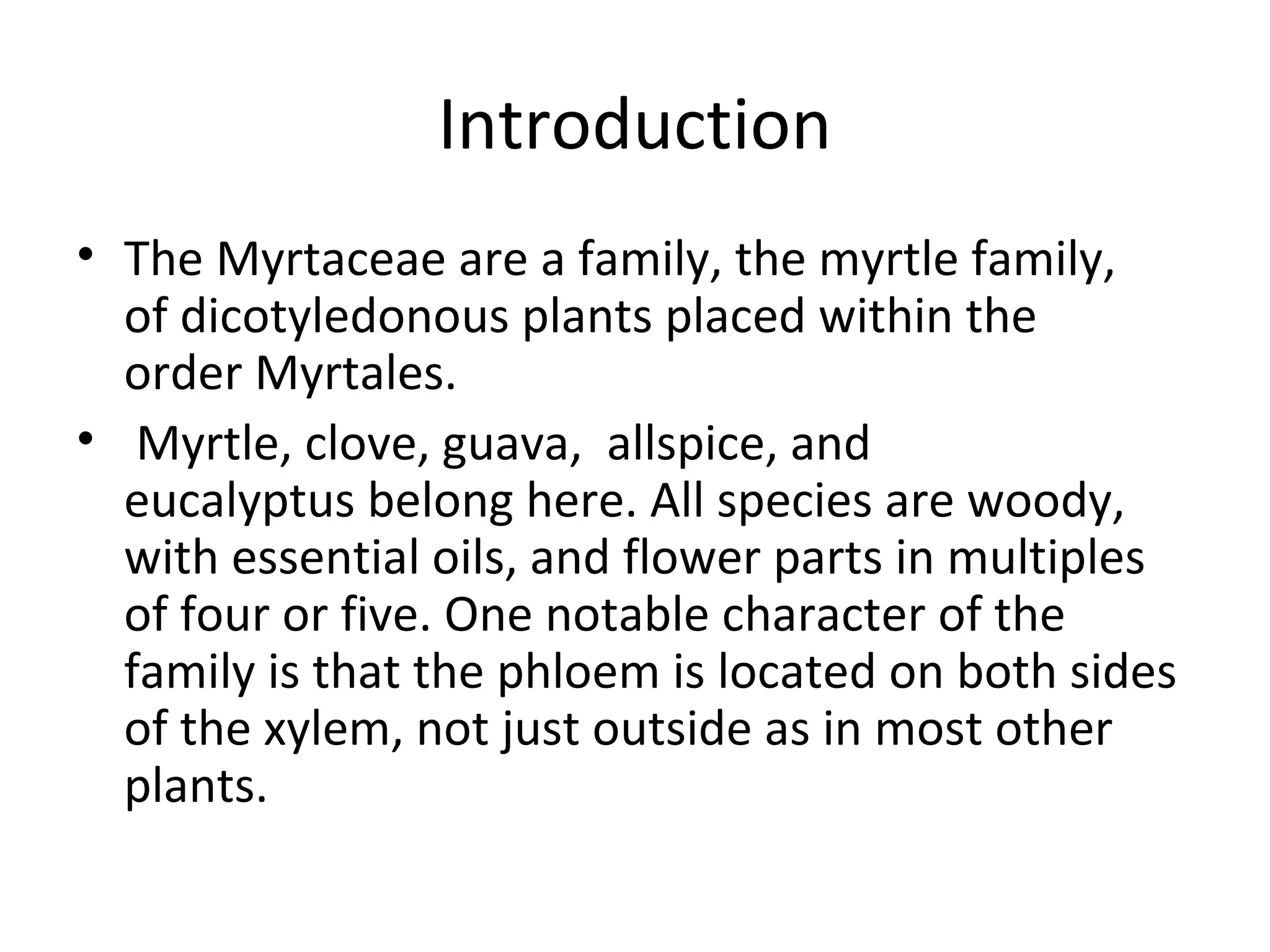 Myrtaceae | PPT