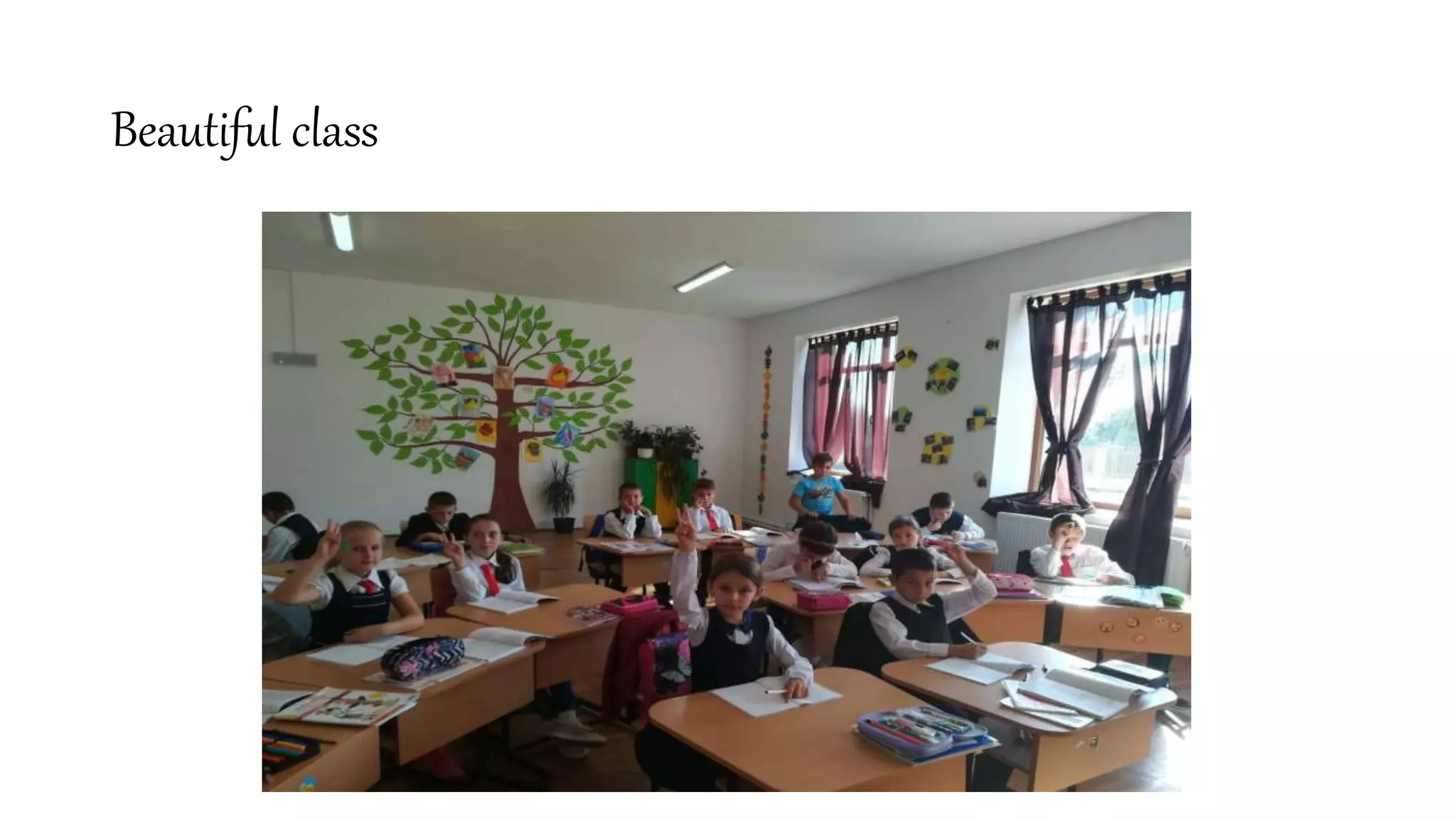 My school - Alexandra Chitu& Ramona Savu | PPTX