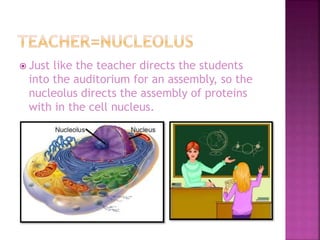 My school is like a cell mf | PPTX