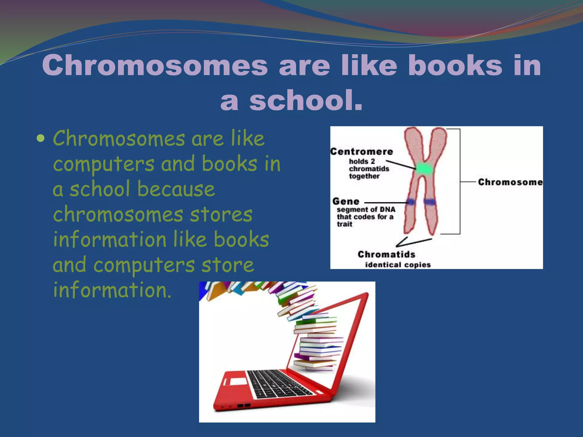 My school is like a cell victoria humes | PPT