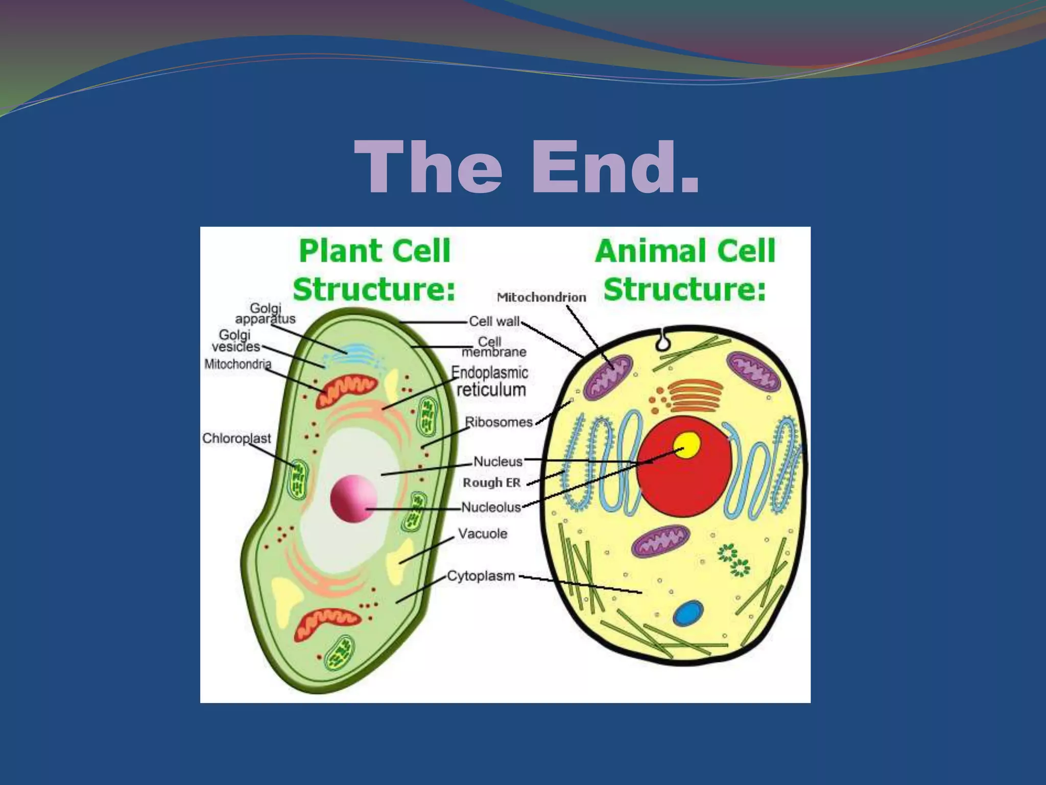 My school is like a cell victoria humes | PPT