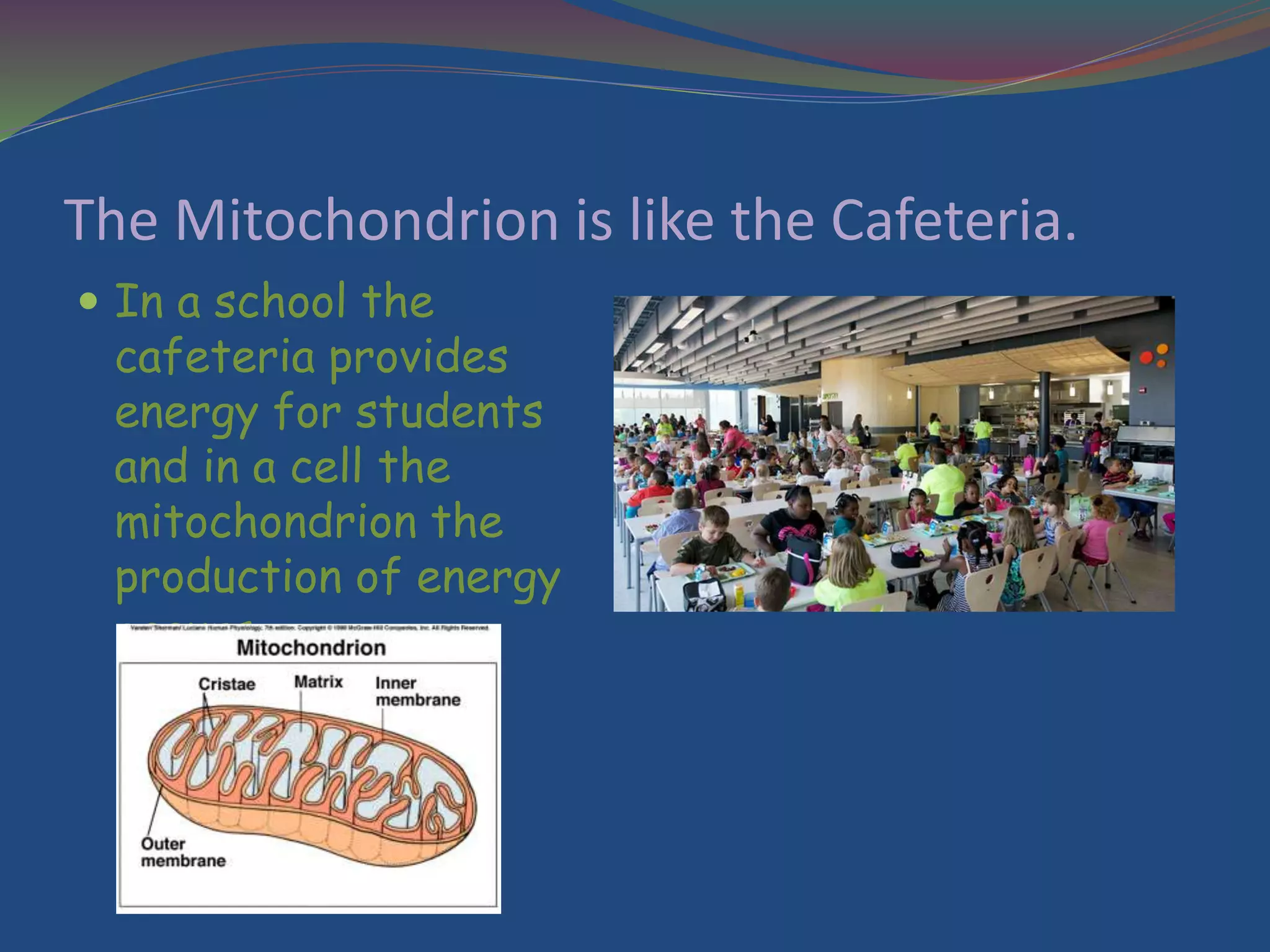 My school is like a cell victoria humes | PPT