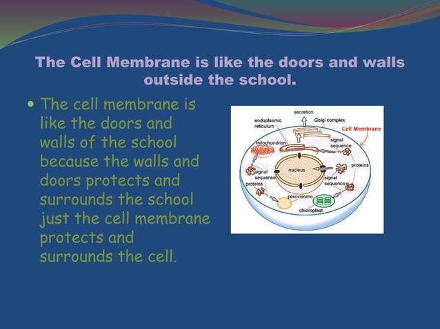 My school is like a cell victoria humes | PPT