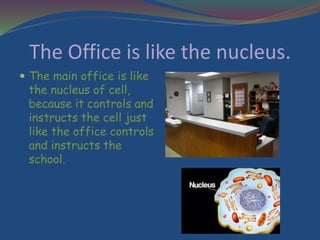 My school is like a cell victoria humes | PPT