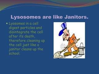 My school is like a cell victoria humes | PPT