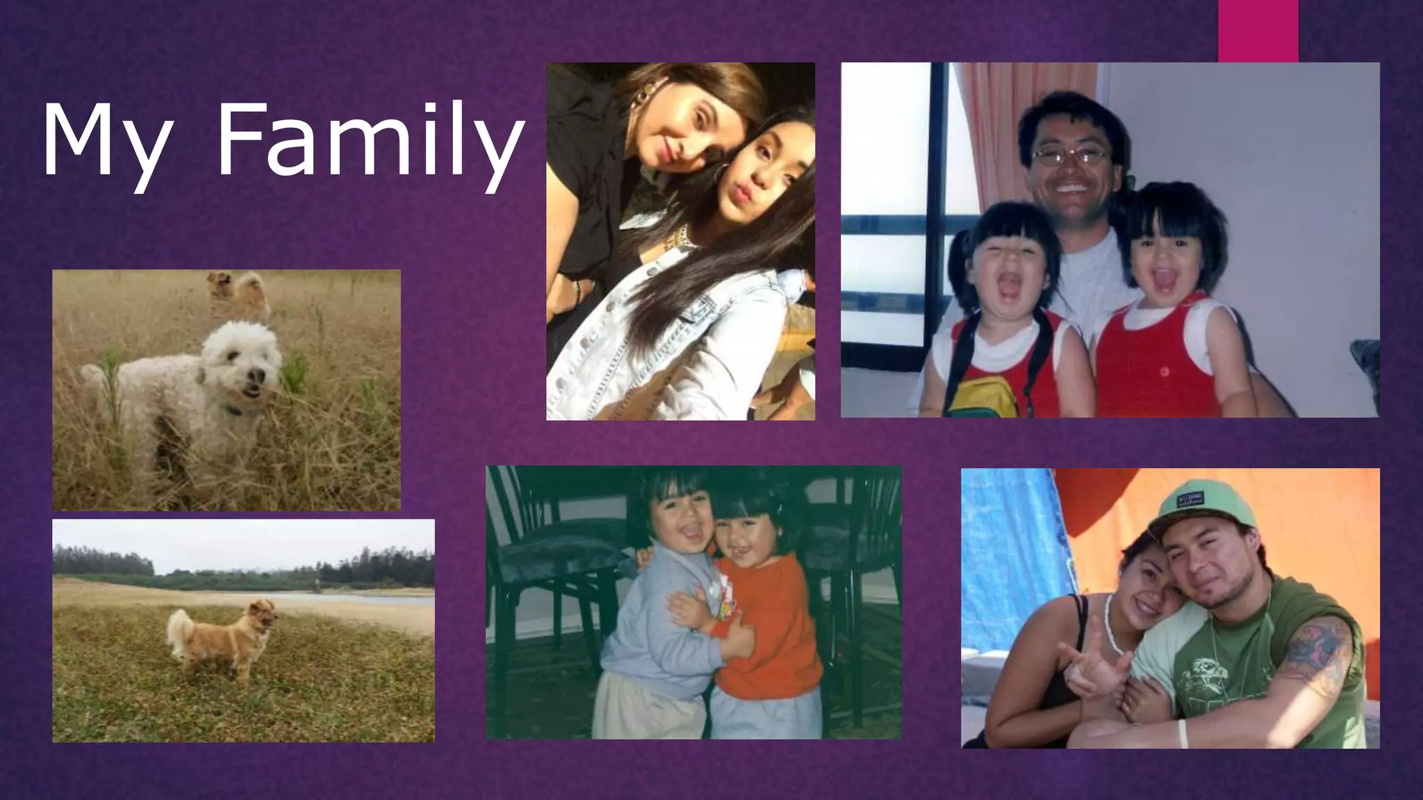 My school life 2.0 jiji | PPTX