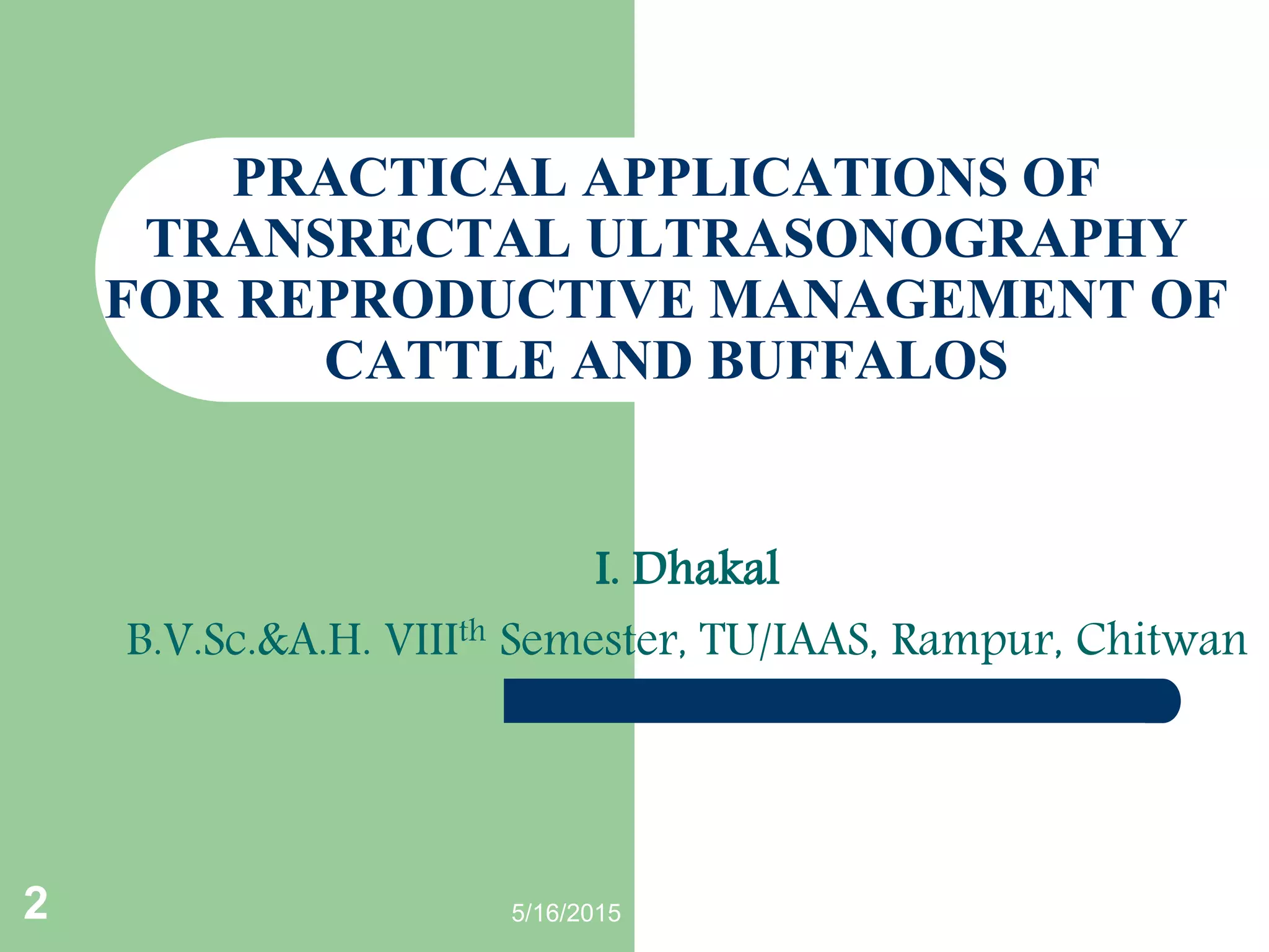 A Review of PRACTICAL APPLICATIONS OF TRANSRECTAL ULTRASONOGRAPHY FOR ...