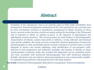 A Review of PRACTICAL APPLICATIONS OF TRANSRECTAL ULTRASONOGRAPHY FOR ...