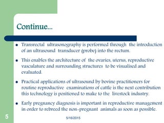 A Review of PRACTICAL APPLICATIONS OF TRANSRECTAL ULTRASONOGRAPHY FOR ...