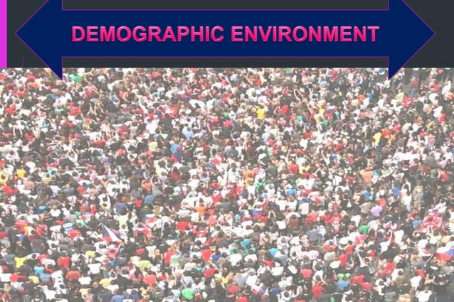 Demographic environment | PPTX