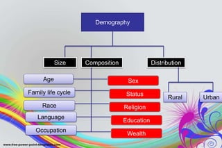 Demographic environment | PPTX