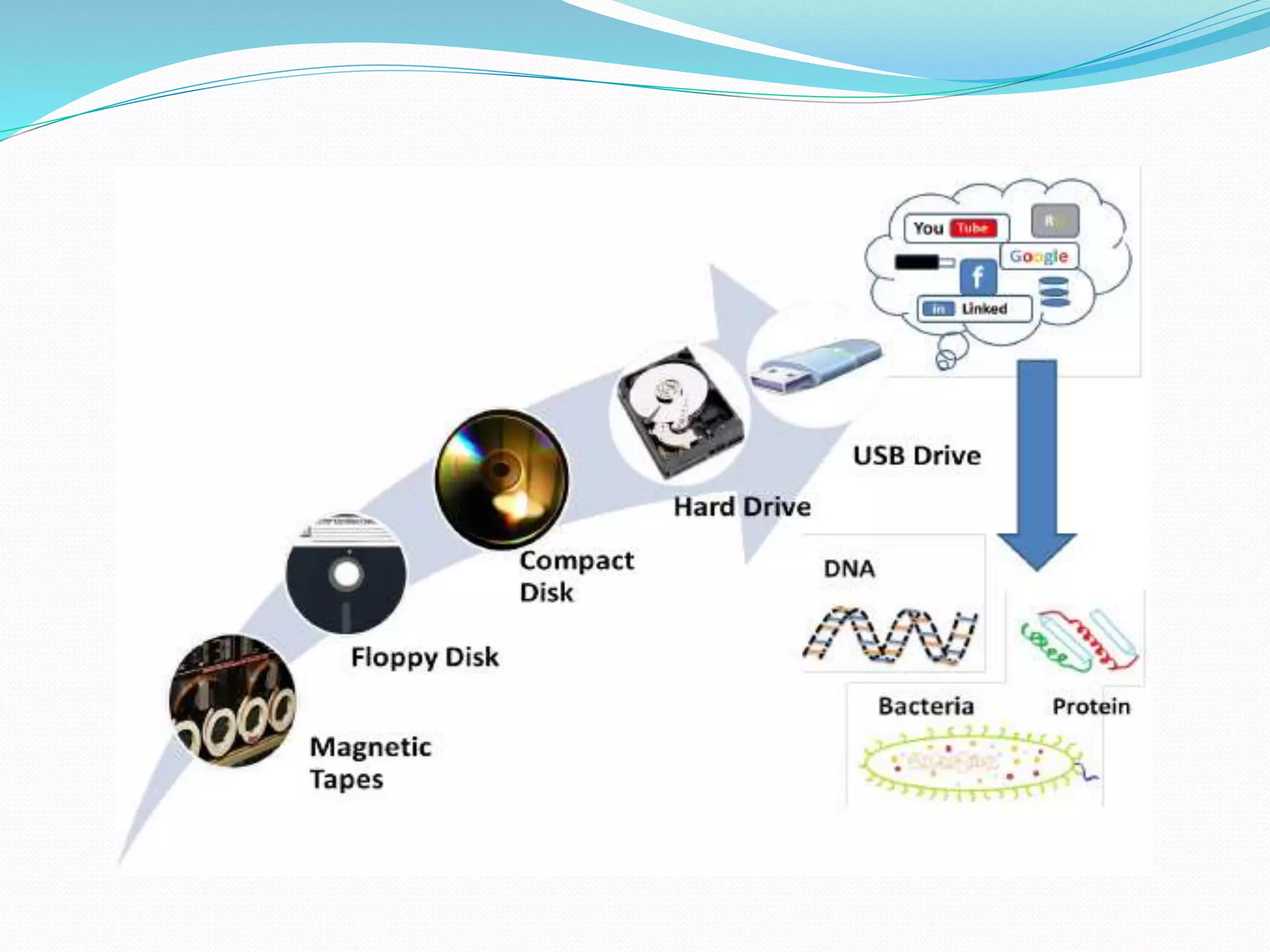 Data Storage in DNA | PPTX