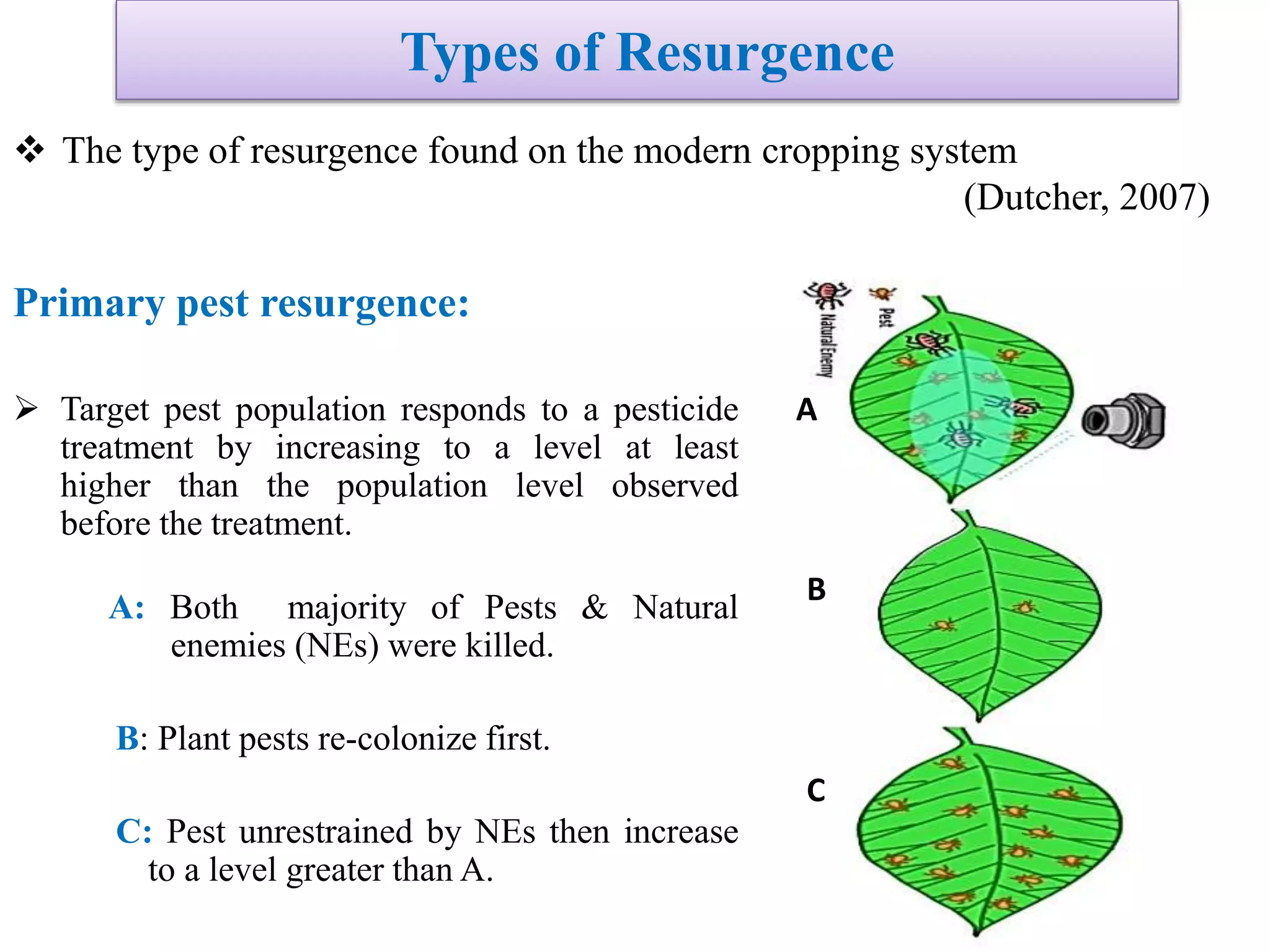 Pesticide Induced Resurgence of Rice Planthoppers | PPTX