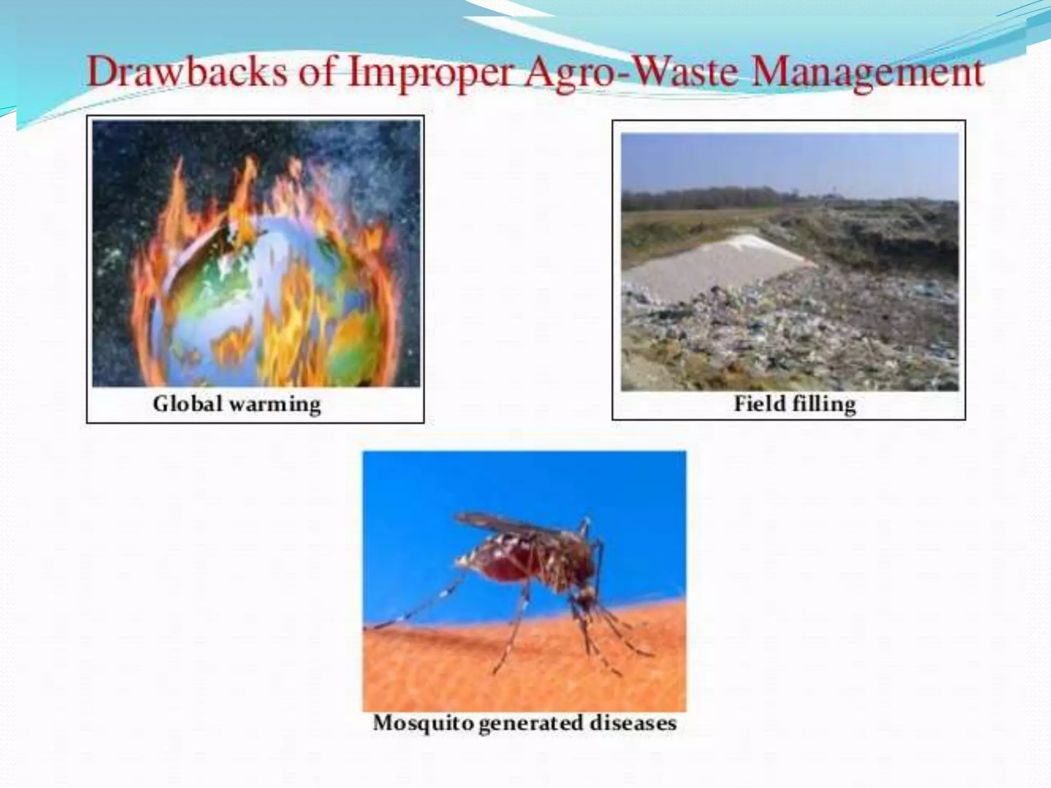 AGRICULTURAL WASTE MANAGEMENT | PPTX