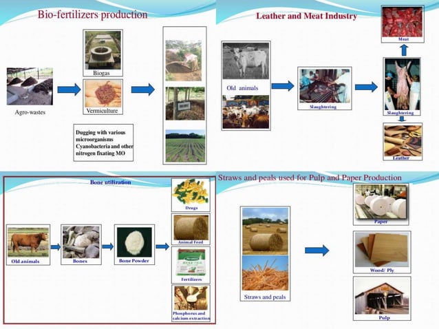 AGRICULTURAL WASTE MANAGEMENT | PPTX