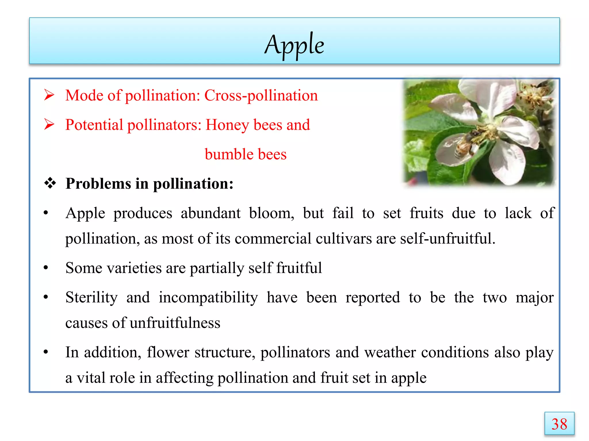 Pollination and pollinizer effects on fruit crops | PPTX