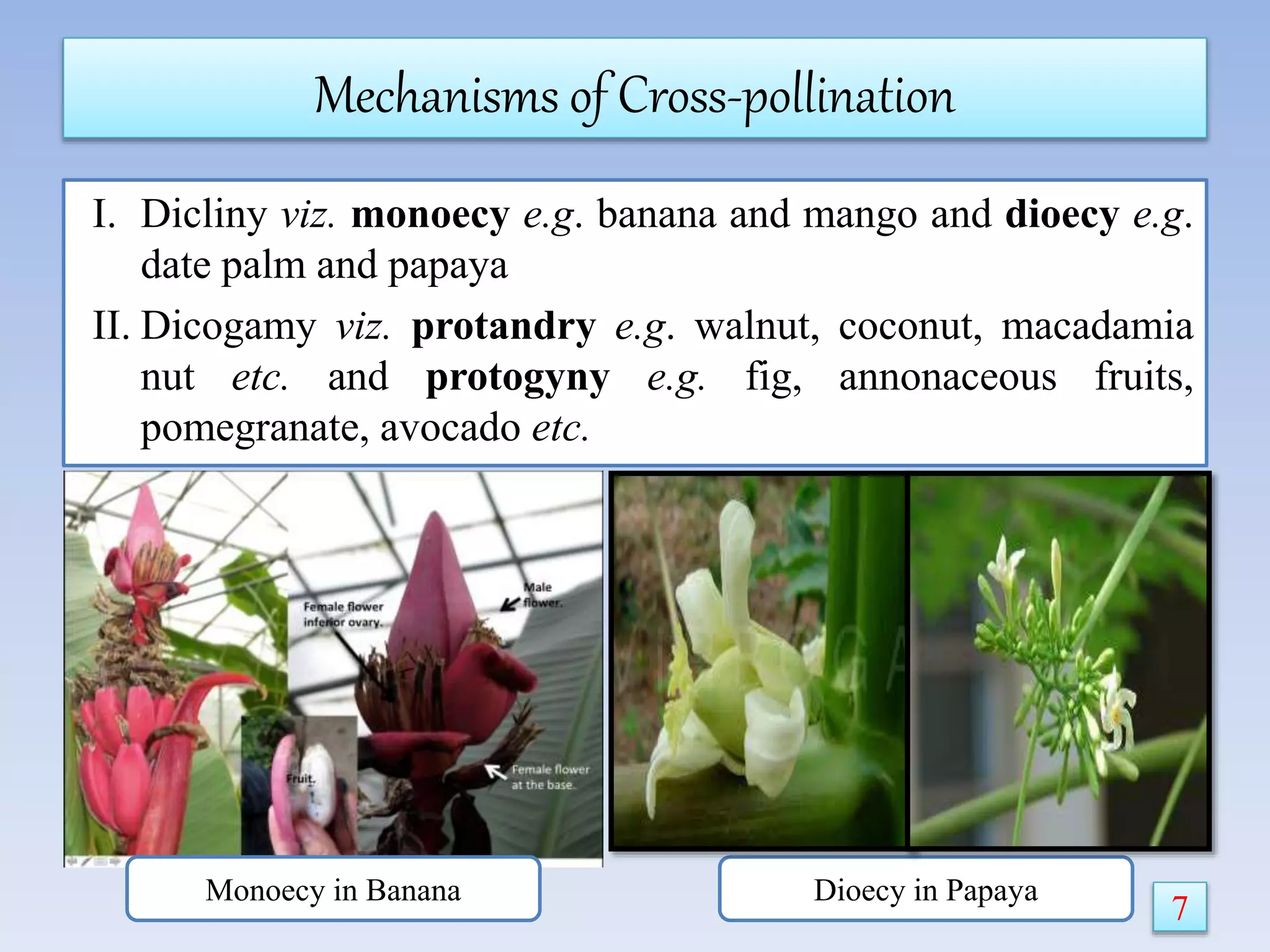 Pollination and pollinizer effects on fruit crops | PPTX
