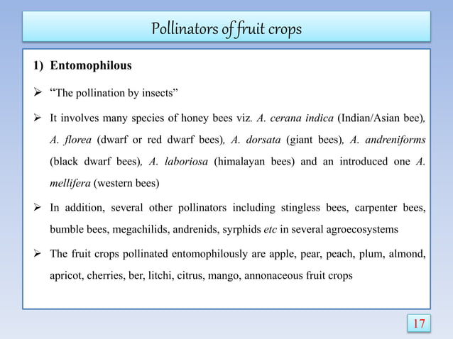 Pollination and pollinizer effects on fruit crops | PPTX
