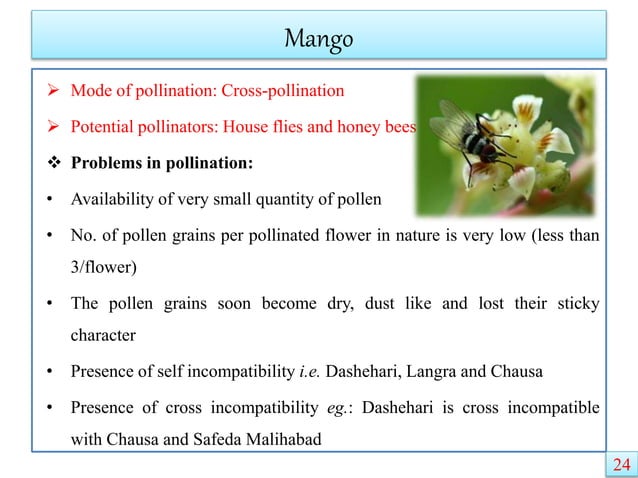 Pollination and pollinizer effects on fruit crops | PPTX