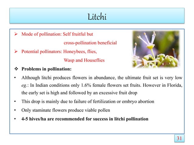Pollination and pollinizer effects on fruit crops | PPTX