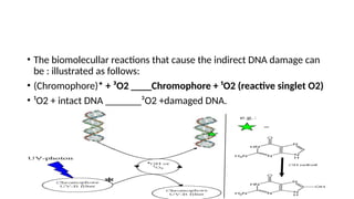 The Biochemical and Toxicological Effects of Hydroquinone in Skin ...