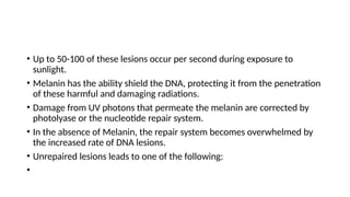 The Biochemical and Toxicological Effects of Hydroquinone in Skin ...