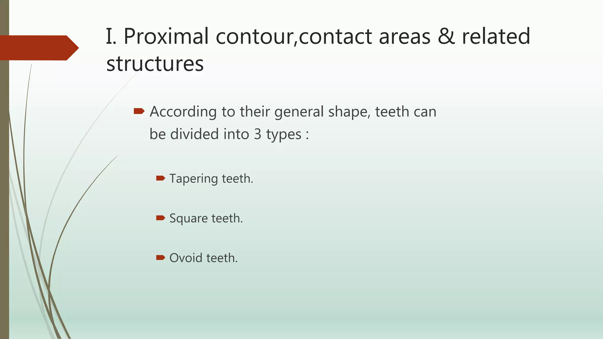 contact and contours | PPTX