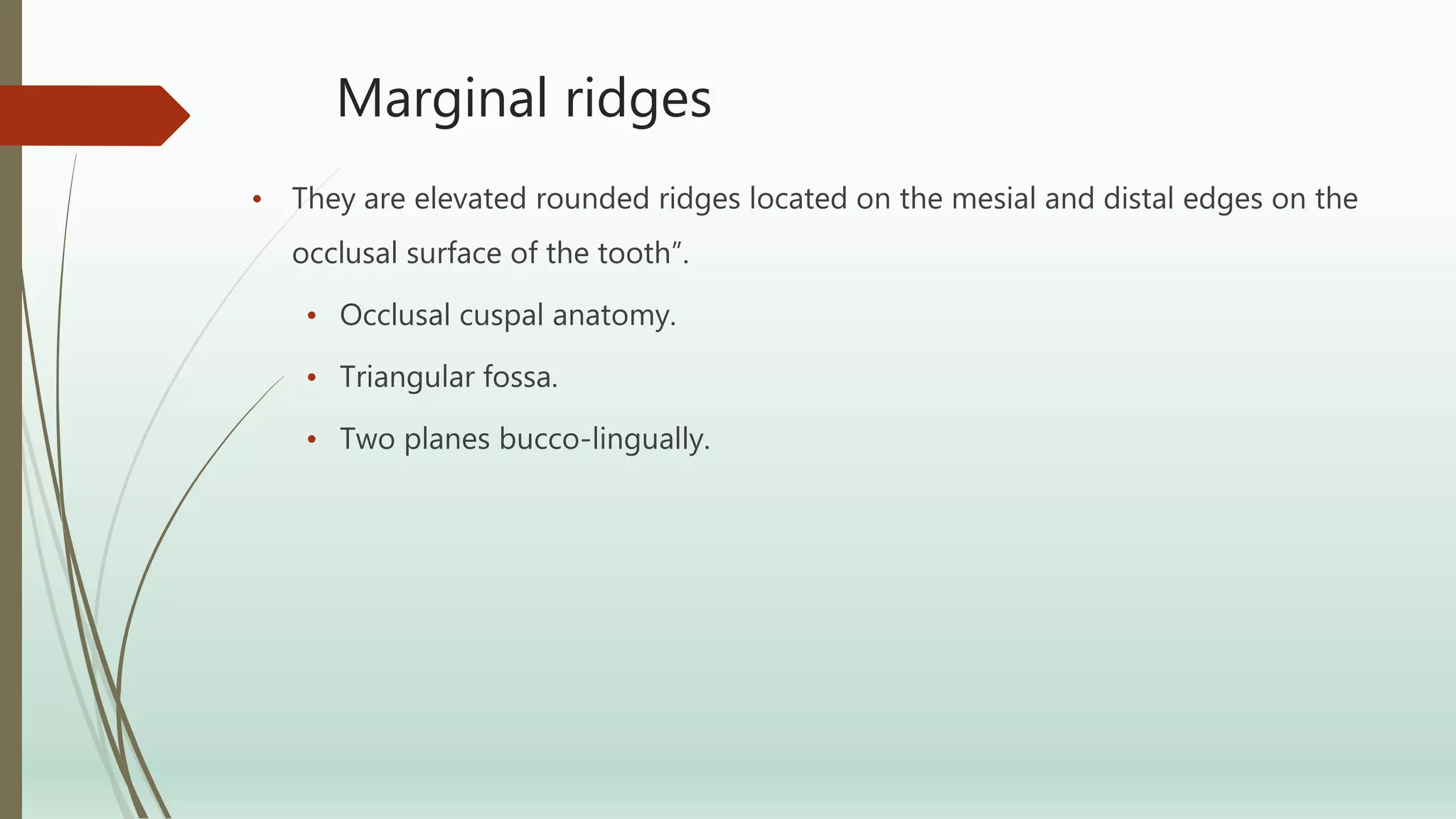 contact and contours | PPTX