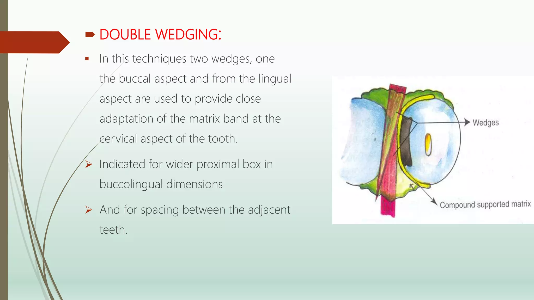 contact and contours | PPTX