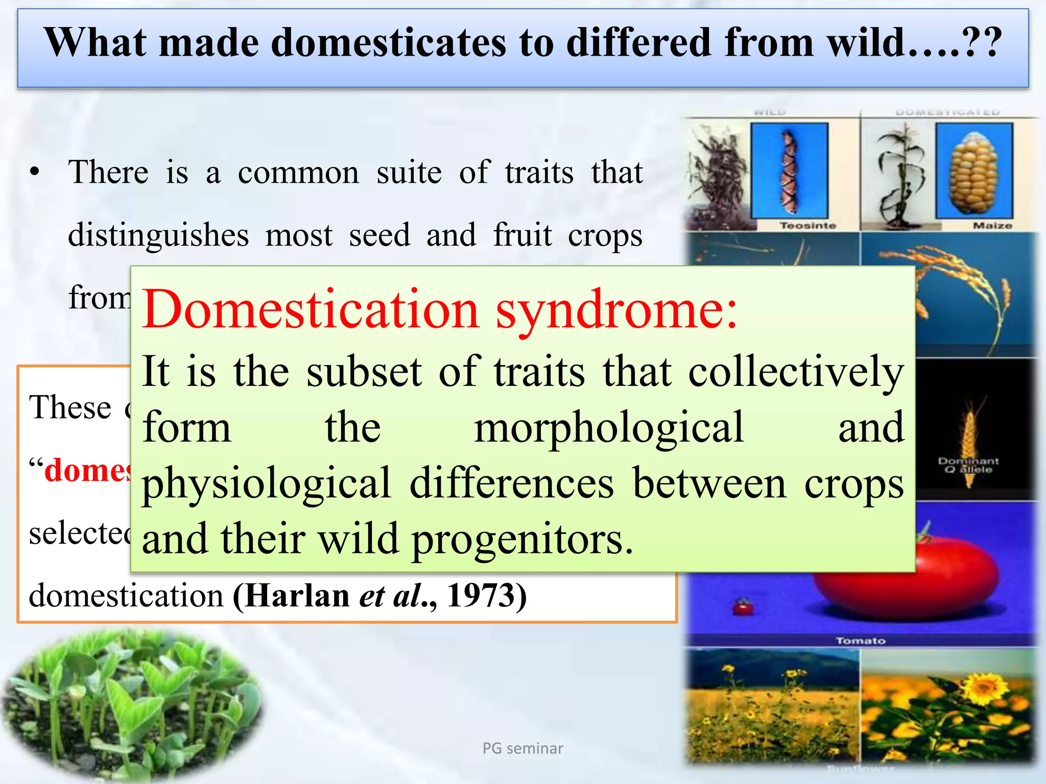 Domestication syndrome in crop plants | PPTX