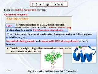 Progress and prospects in plant genome editing | PPTX