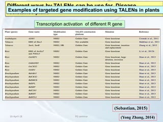 Progress and prospects in plant genome editing | PPTX