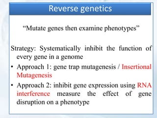 Progress and prospects in plant genome editing | PPTX