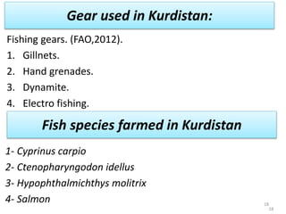 Fisheries and Aquaculture Activities in Kurdistan Region | PPTX