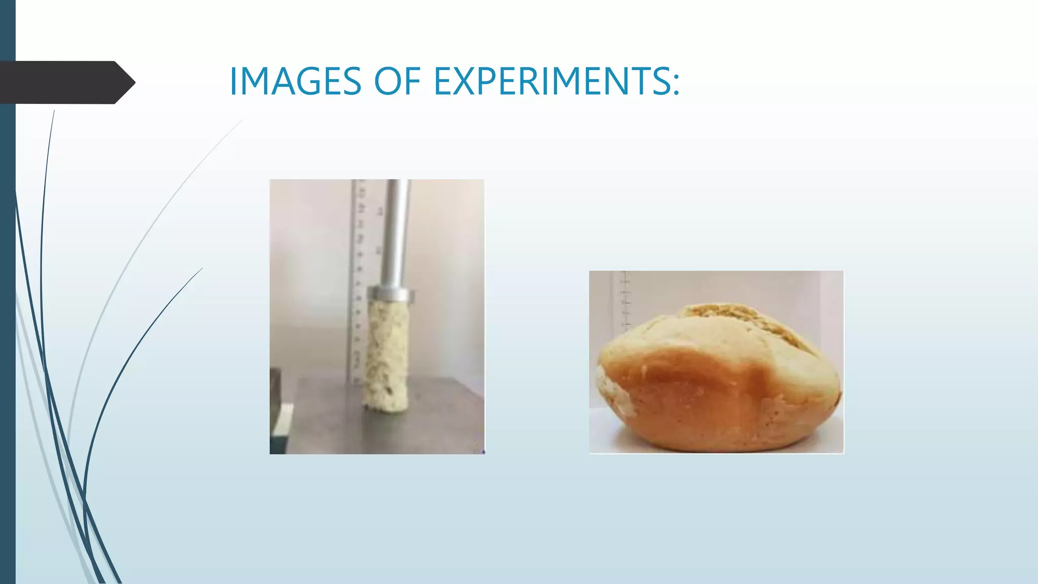 DYNAMICS OF FERMENTATION PROCESS OF BREAD DOUGH PREPARED WITH DIFFERENT ...