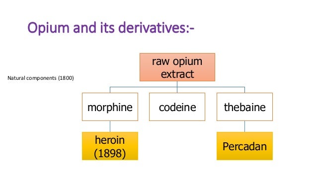 Papaver somniferum (Opium ,Poppy)