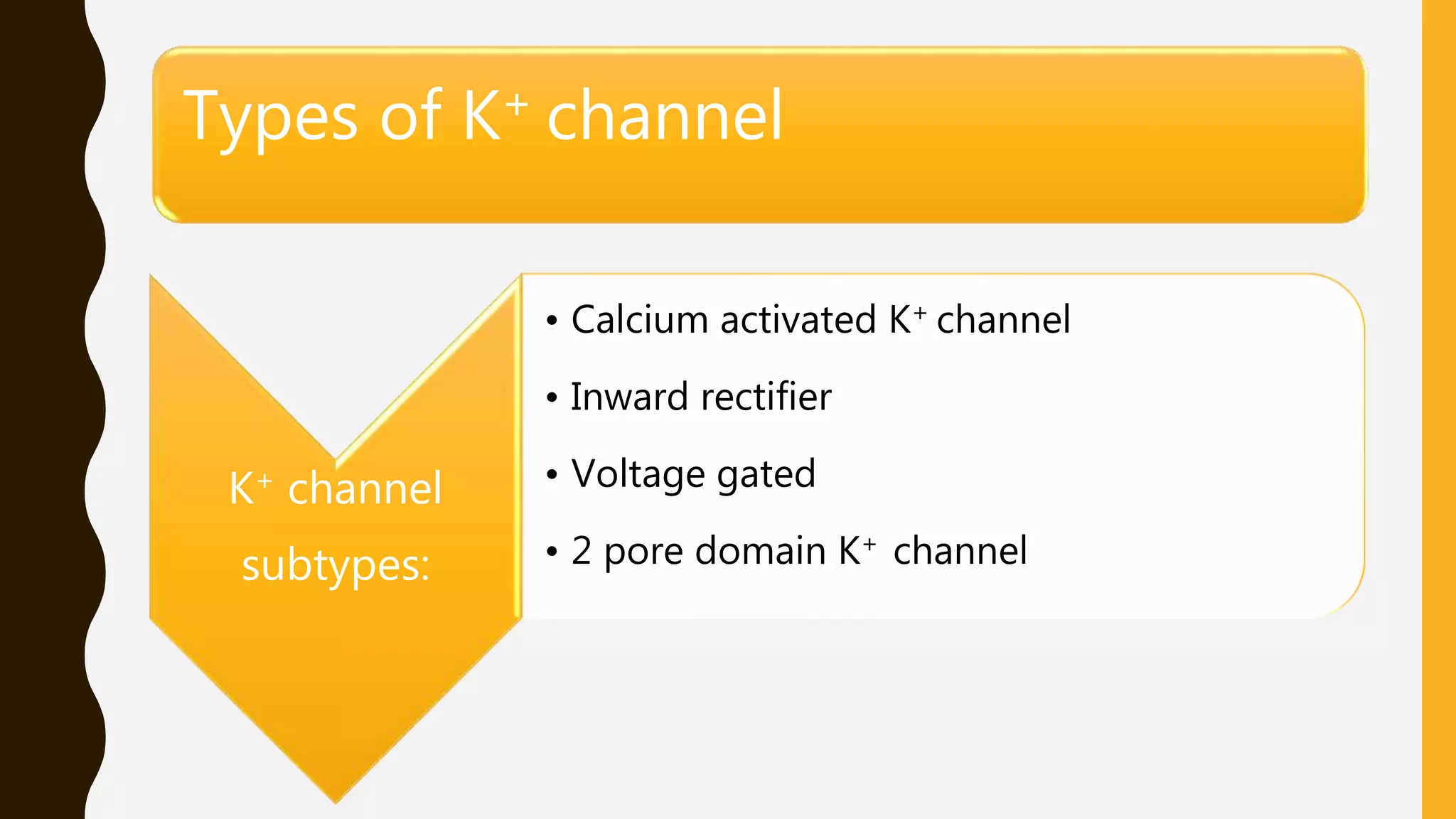 My seminar on potassium channel | PPTX