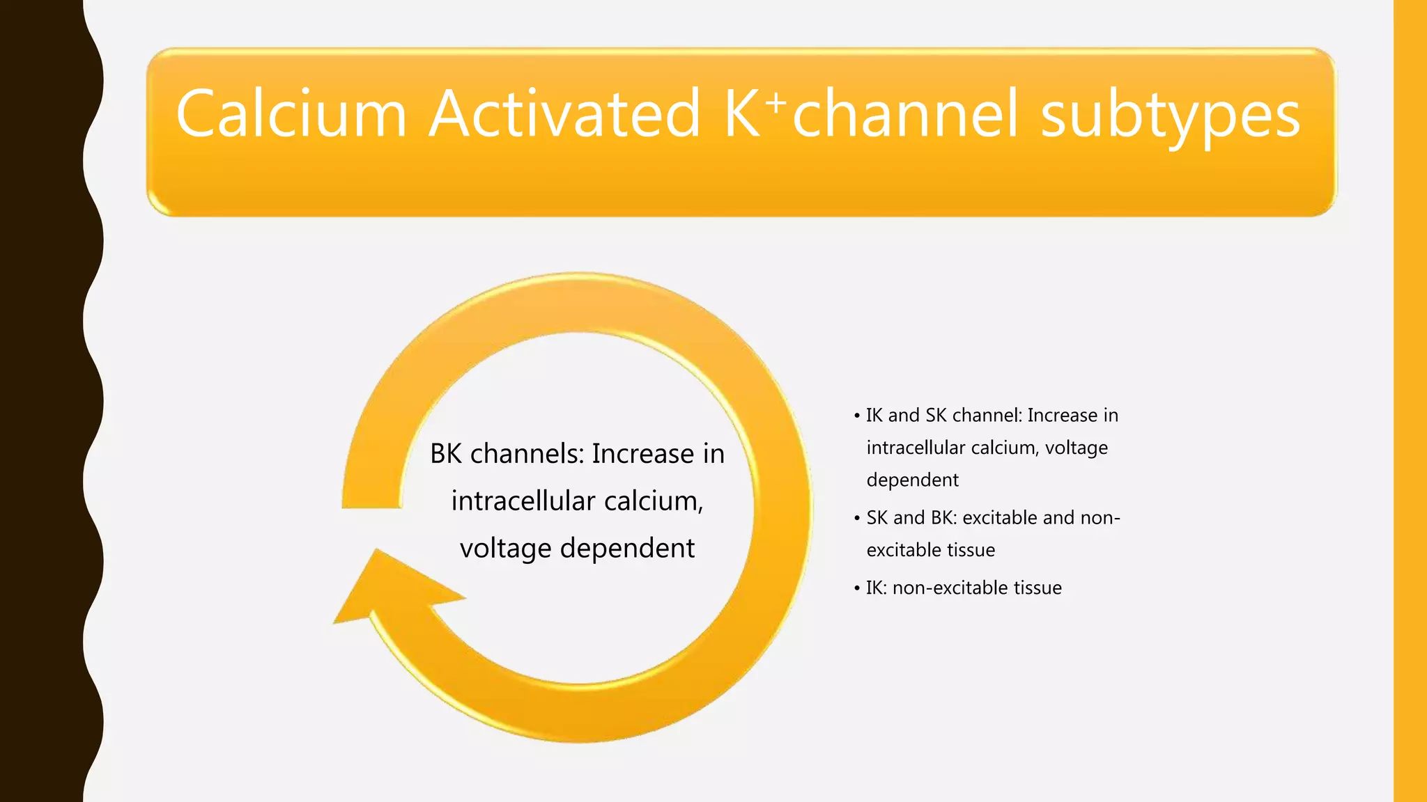 My seminar on potassium channel | PPTX