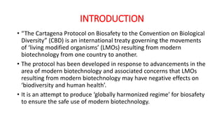 The Cartagena Protocol on Biosafety | PPTX