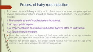 HAIRY ROOT INDUCTION | PPTX