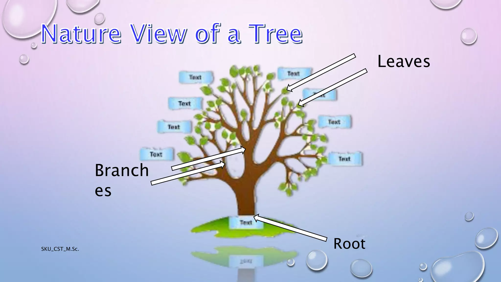 Tree In Data Structures Pptx Programming Languages Computing