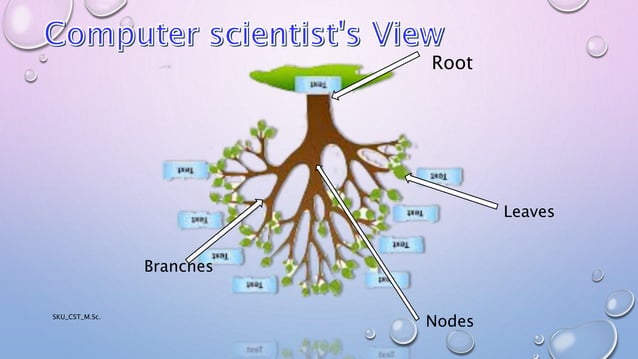 TREE in Data Structures | PPTX | Programming Languages | Computing