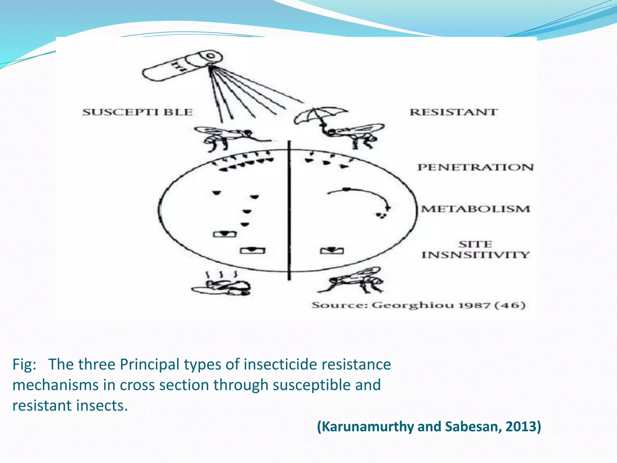 insect resistance | PPTX
