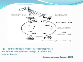 insect resistance | PPTX