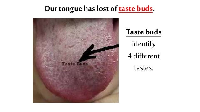 My sense of taste mix