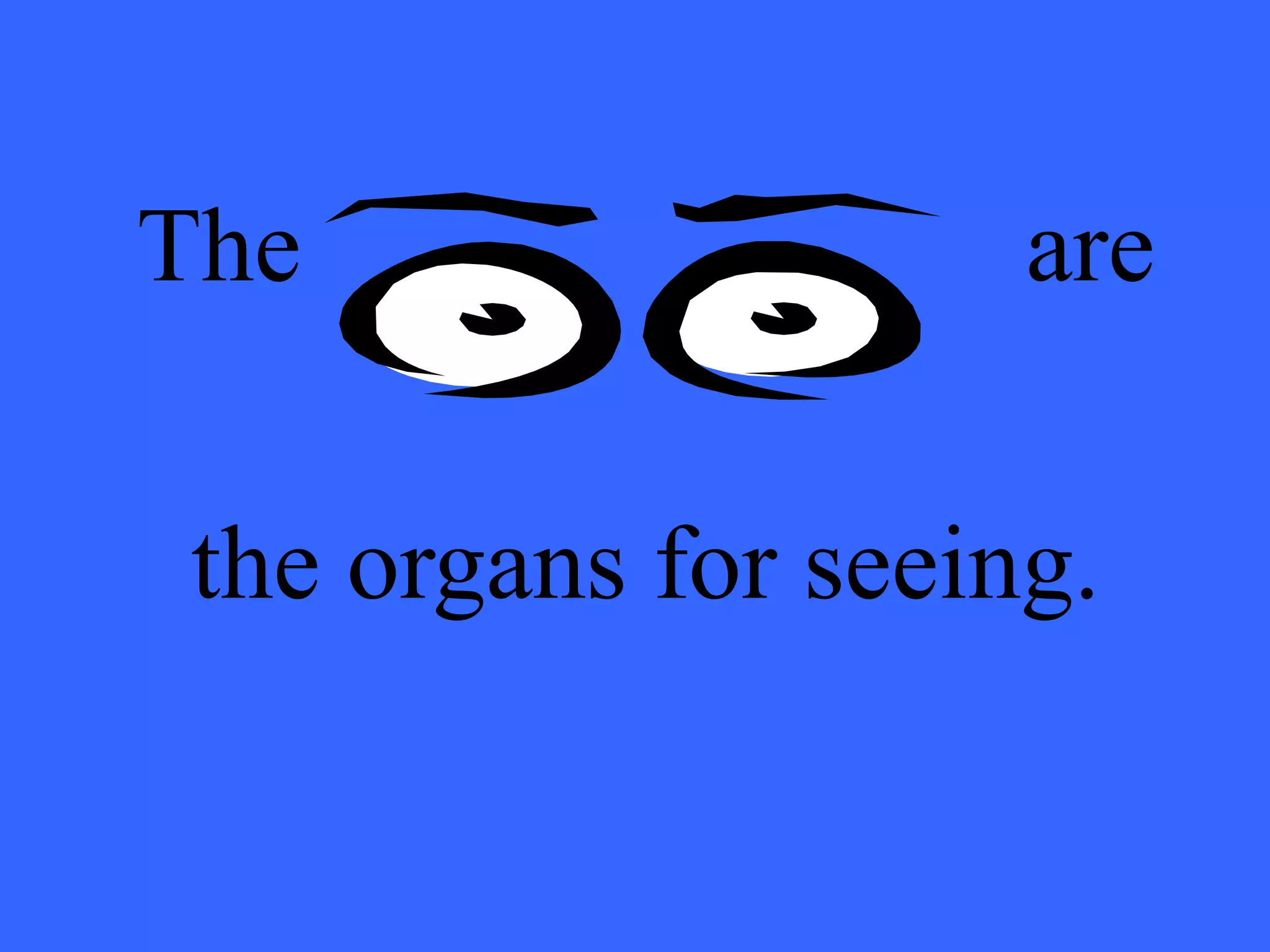 My Sense Organs | PPT